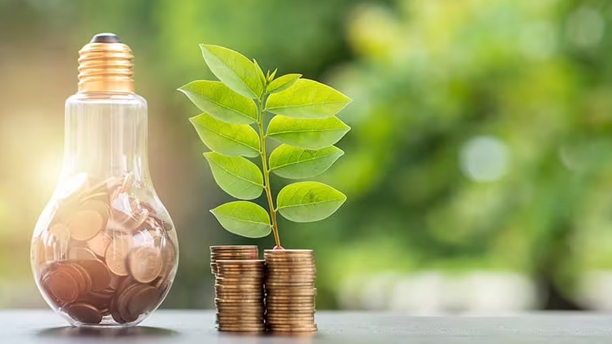 RIAA names 11 new responsible investment leaders - Money Management