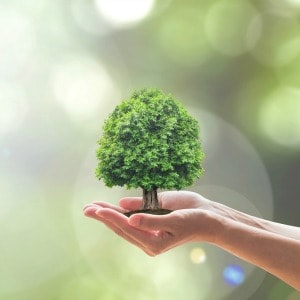 YFYS causes ESG tracking error - Money Management