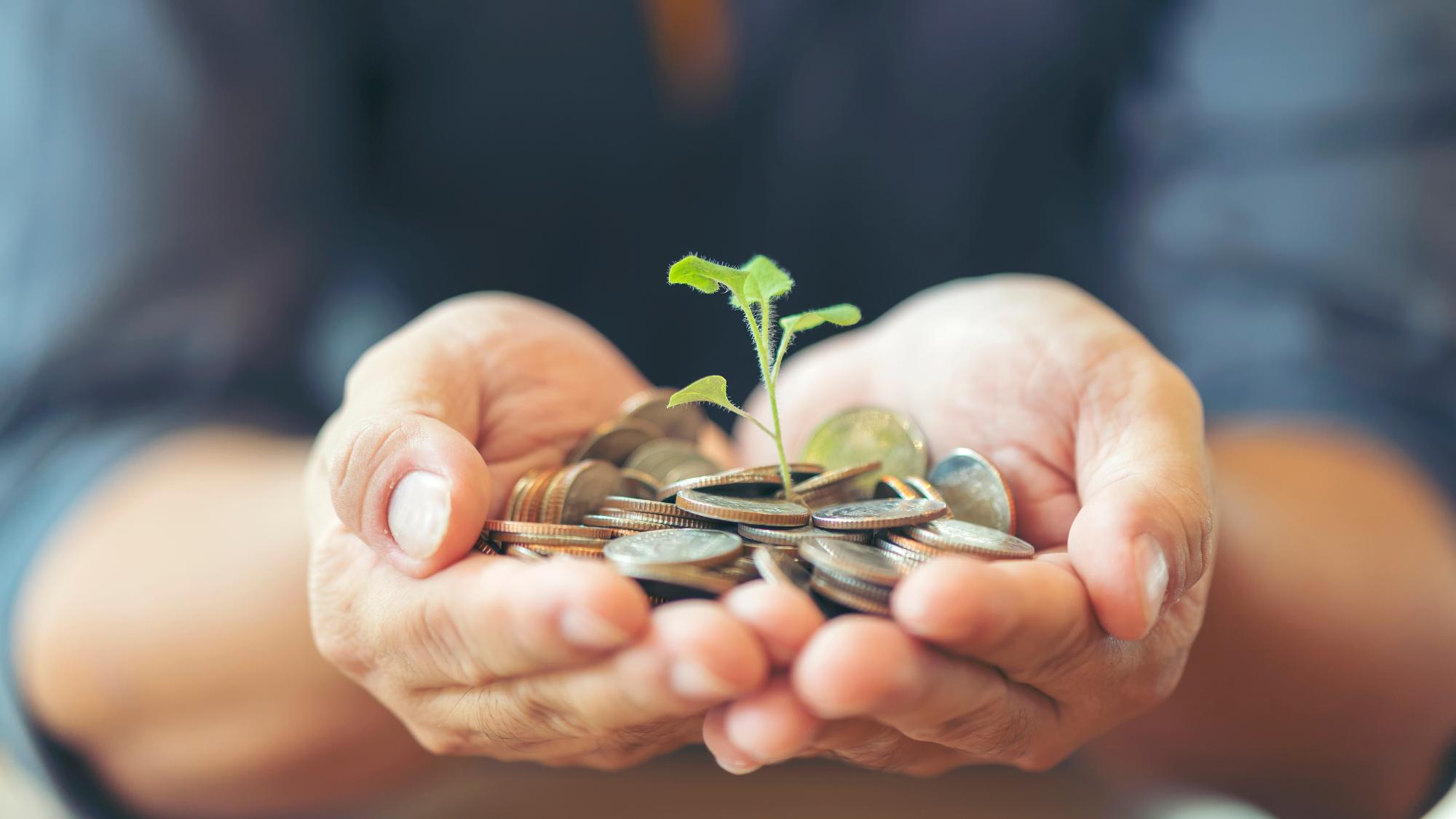 ESG and sustainable fund flows improve in Q3 - Money Management